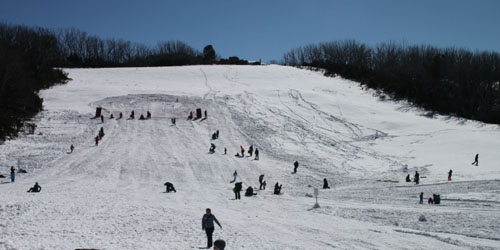Mount Buffalo Snow Cam | Mtbullersnowcam.com
